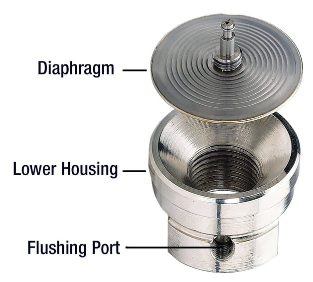 Why Use a Flushing Connection on a Diaphragm Seal?